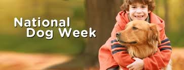 National Dog Week – September 20, 2022, history significance why we ...